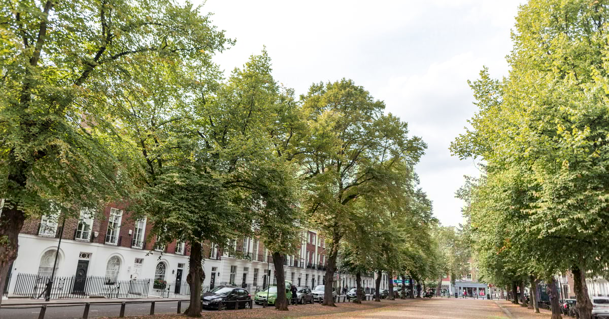 Guide to living in Chelsea | Cluttons
