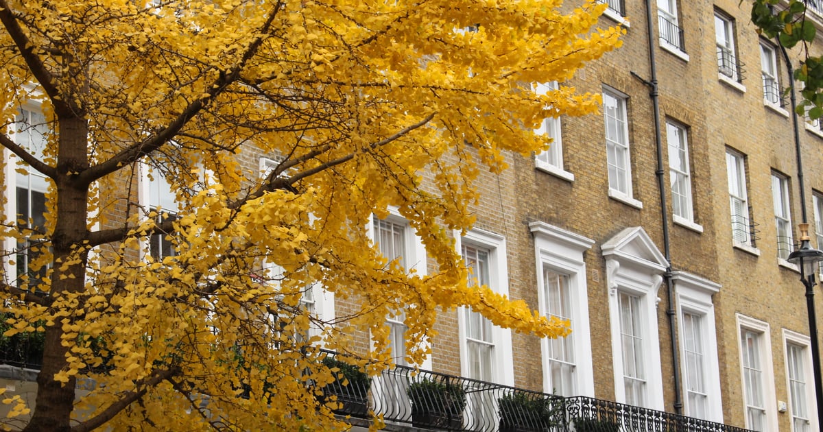 Economic update & residential forecasts - January 2025 | Cluttons